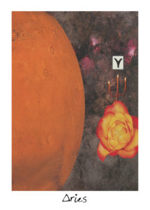 Stars Divine Oracle - Little Red Tarot