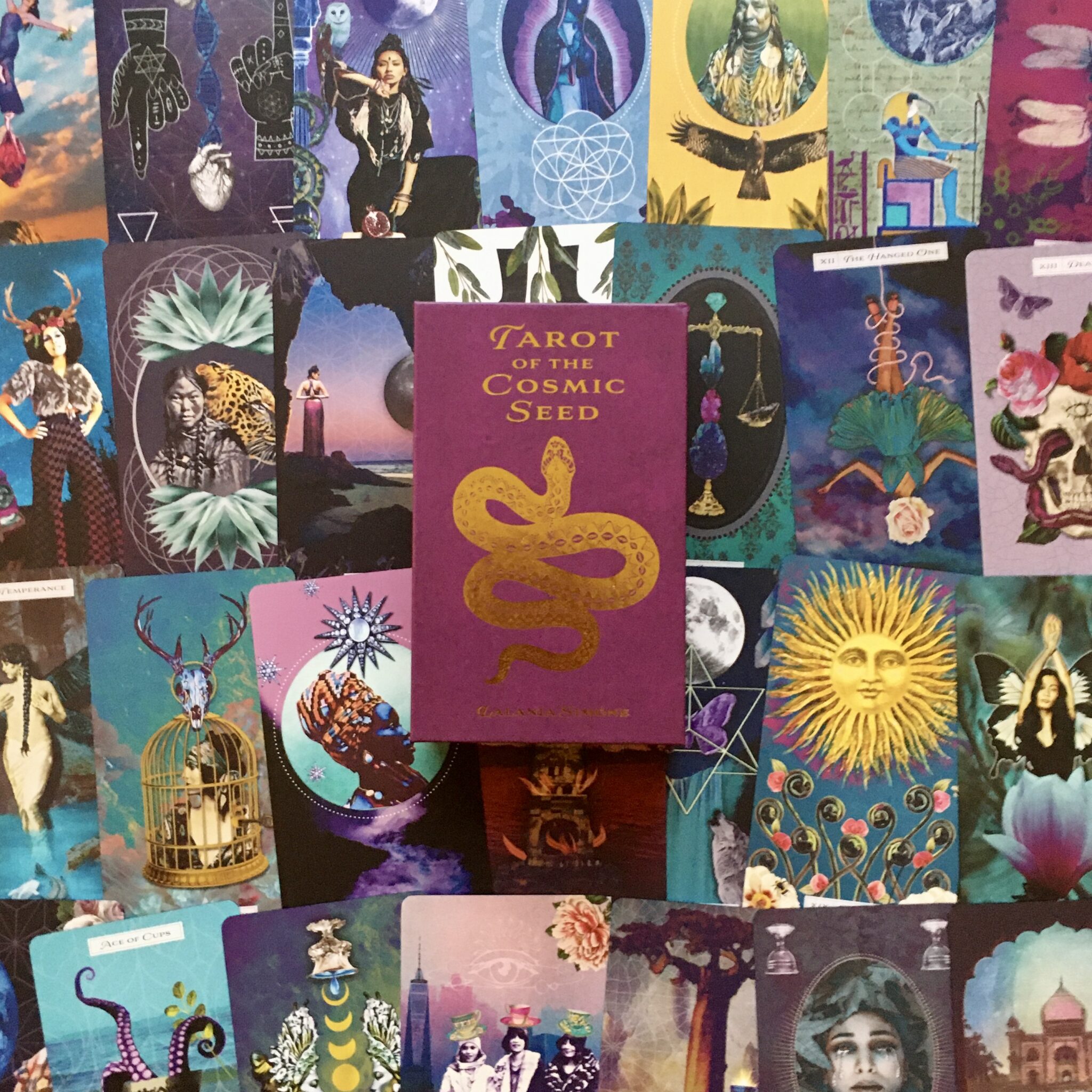 Tarot of the Cosmic Seed, by Lalania Simone | Little Red Tarot